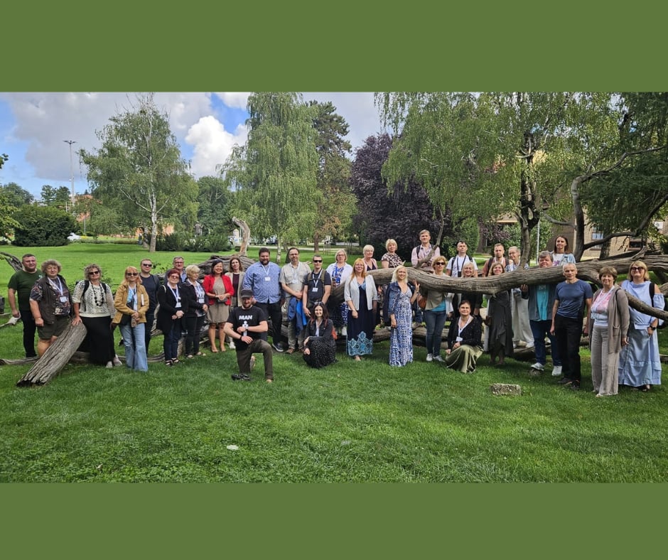 Saarte Koostöökogu – Artikkel